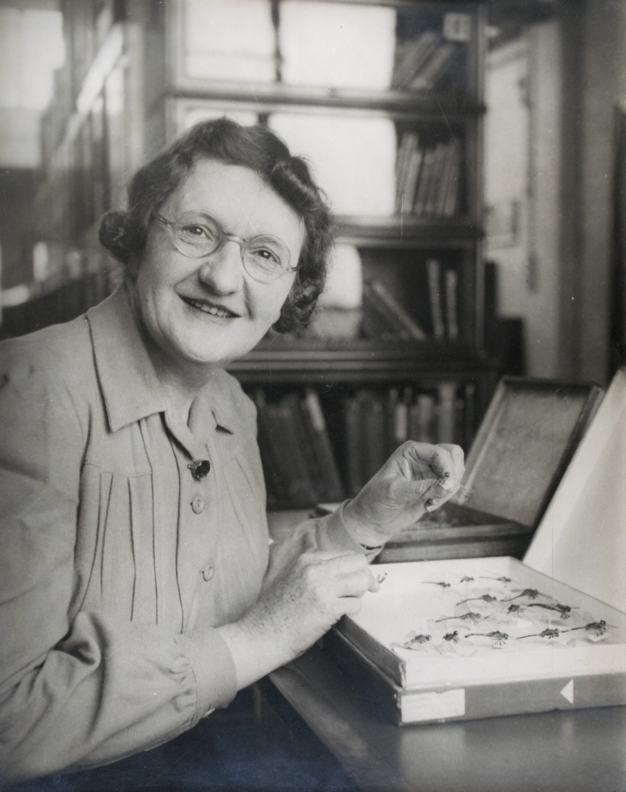 Cynthia Longfield, Madam Dragonfly – Angela Byrne Historian
